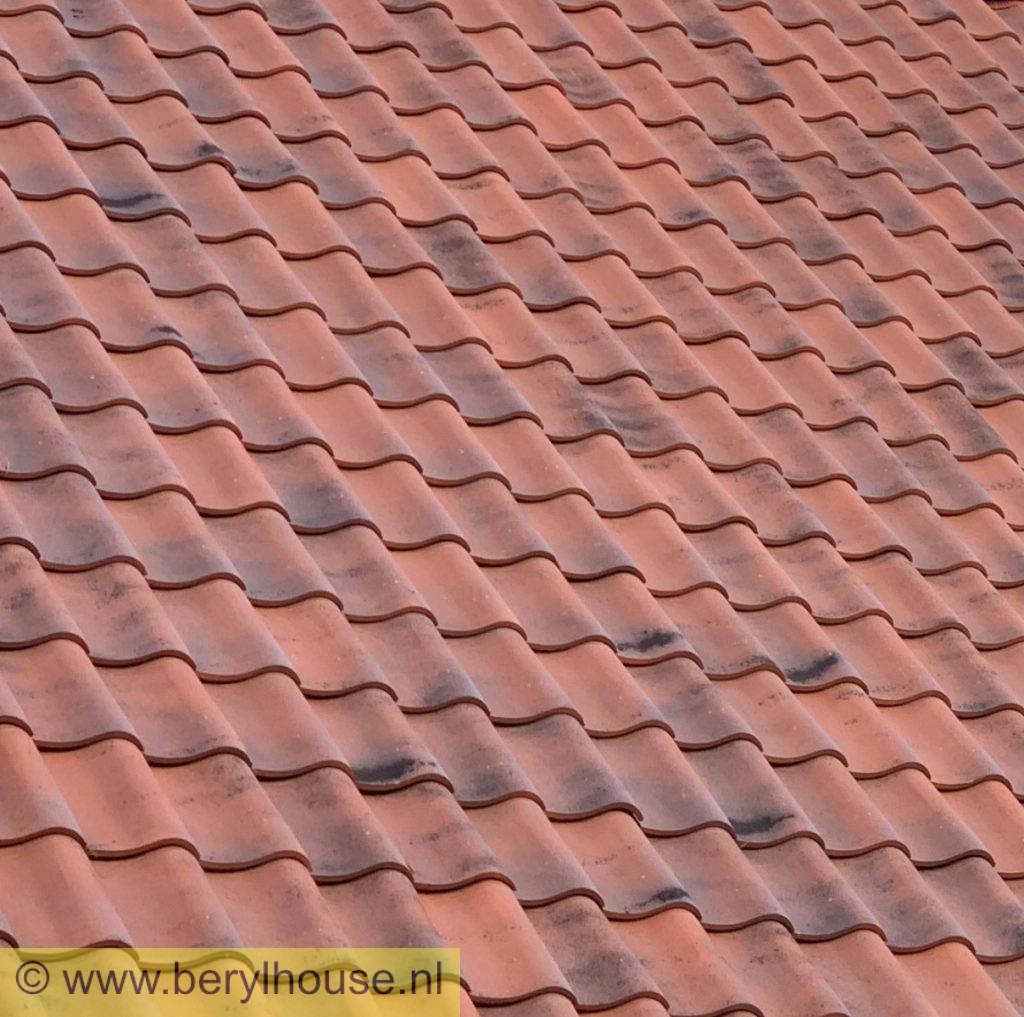 Dakpannen rustiek roodbruin genuanceerd OUDE HOLLE 20 (per m2) – Beryl ...
